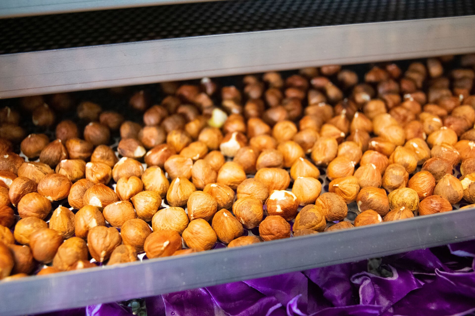 Fruit Drying Times: Guide for Dehydrating Fruit