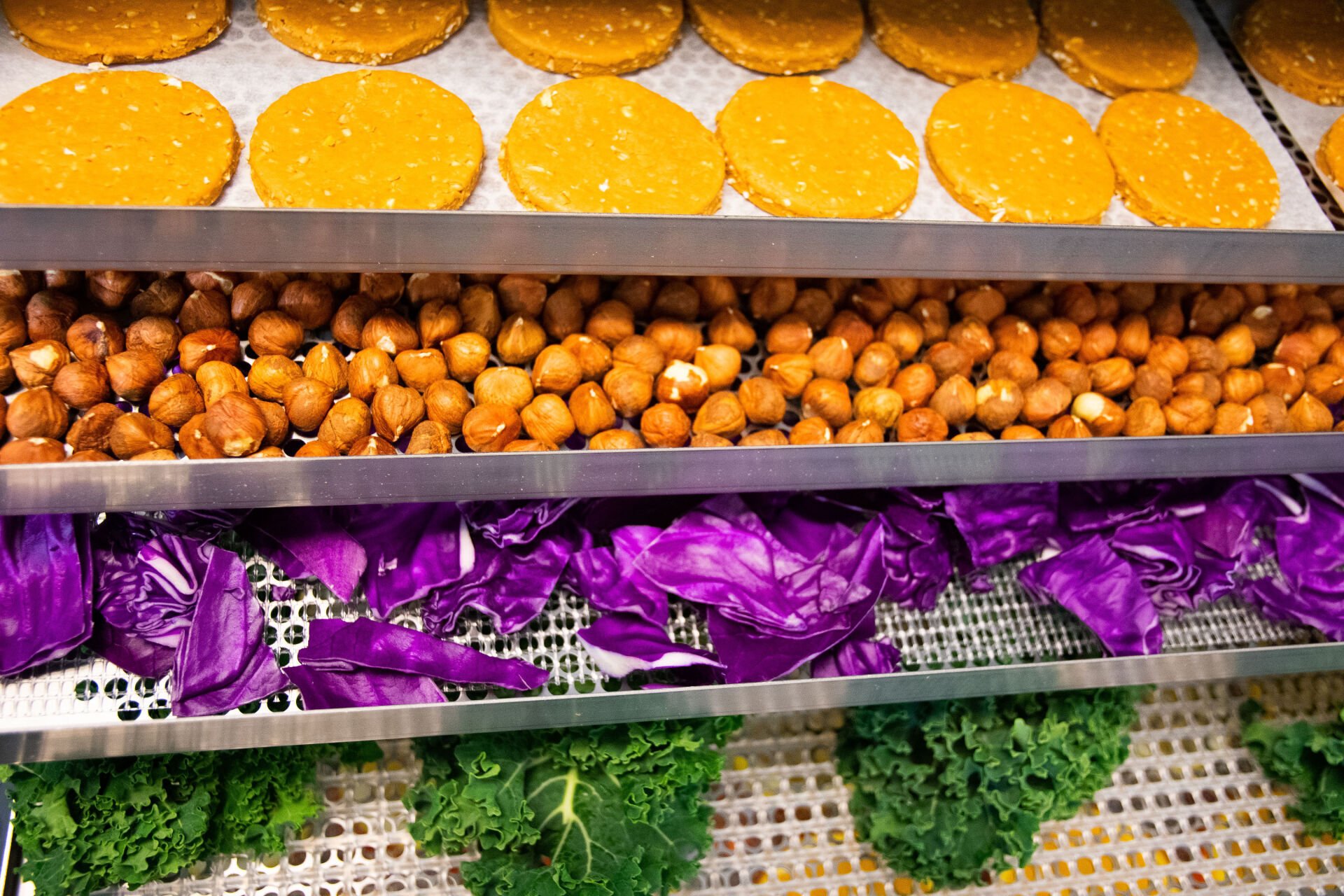 Fruit Drying Times: Guide for Dehydrating Fruit