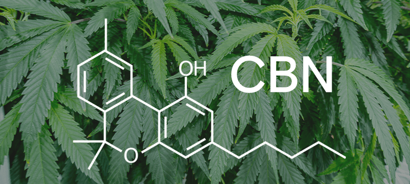 What Is CBN In A Cannabis Edible? | Garden Remedies