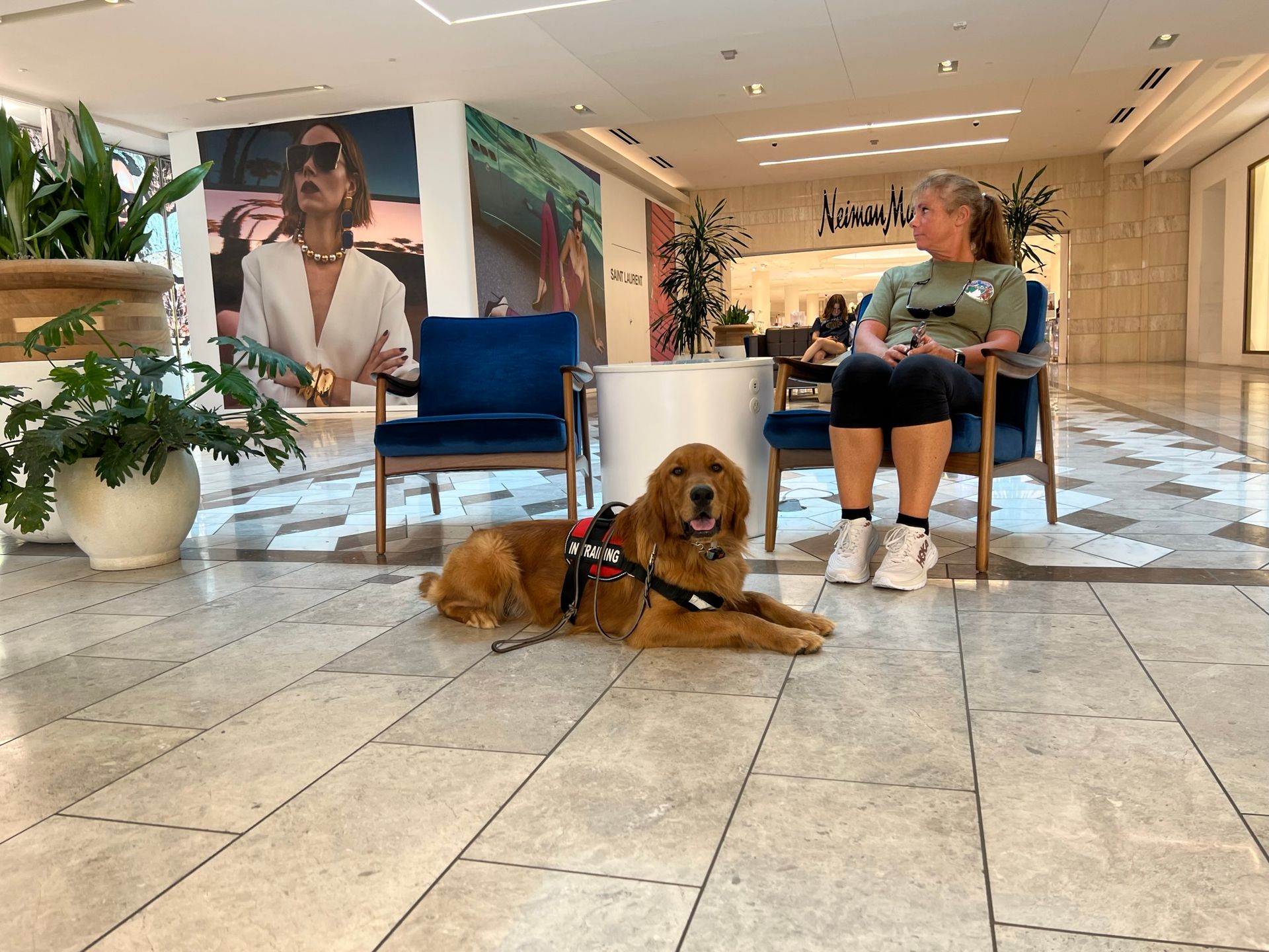 About Us - Cave Creek K9 | Dog Training | Rodd Proctor