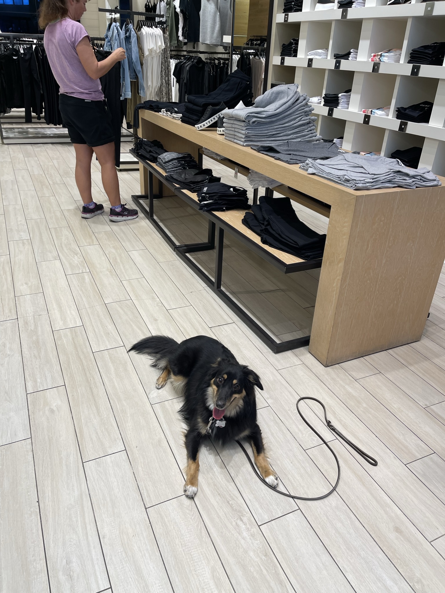 About Us - Cave Creek K9 | Dog Training | Rodd Proctor