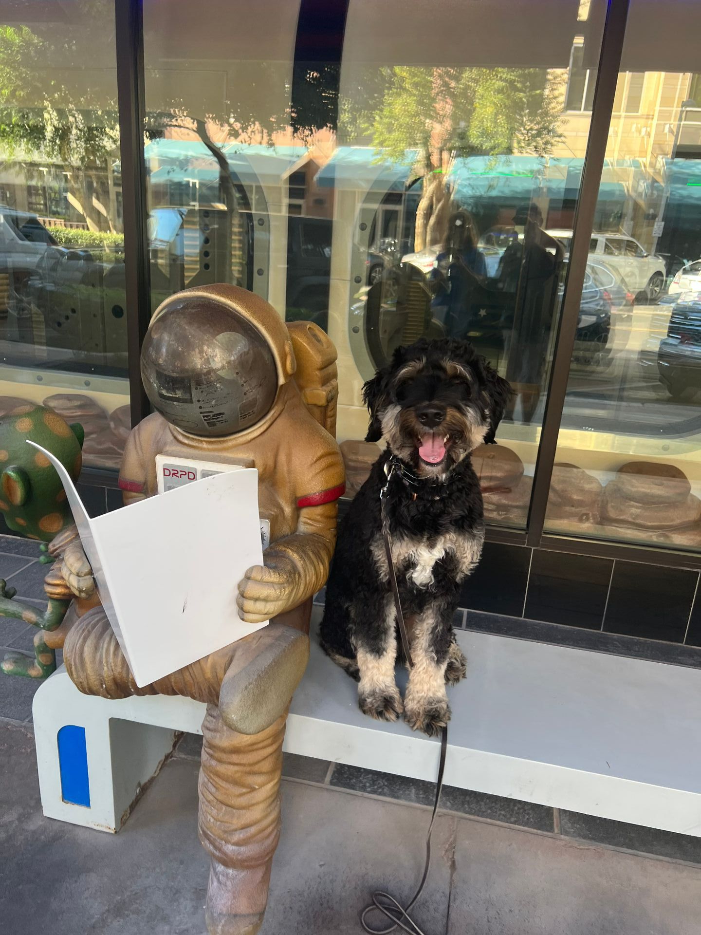 About Us - Cave Creek K9 | Dog Training | Rodd Proctor