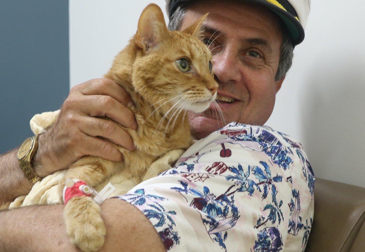 RIP to Murray the Cat