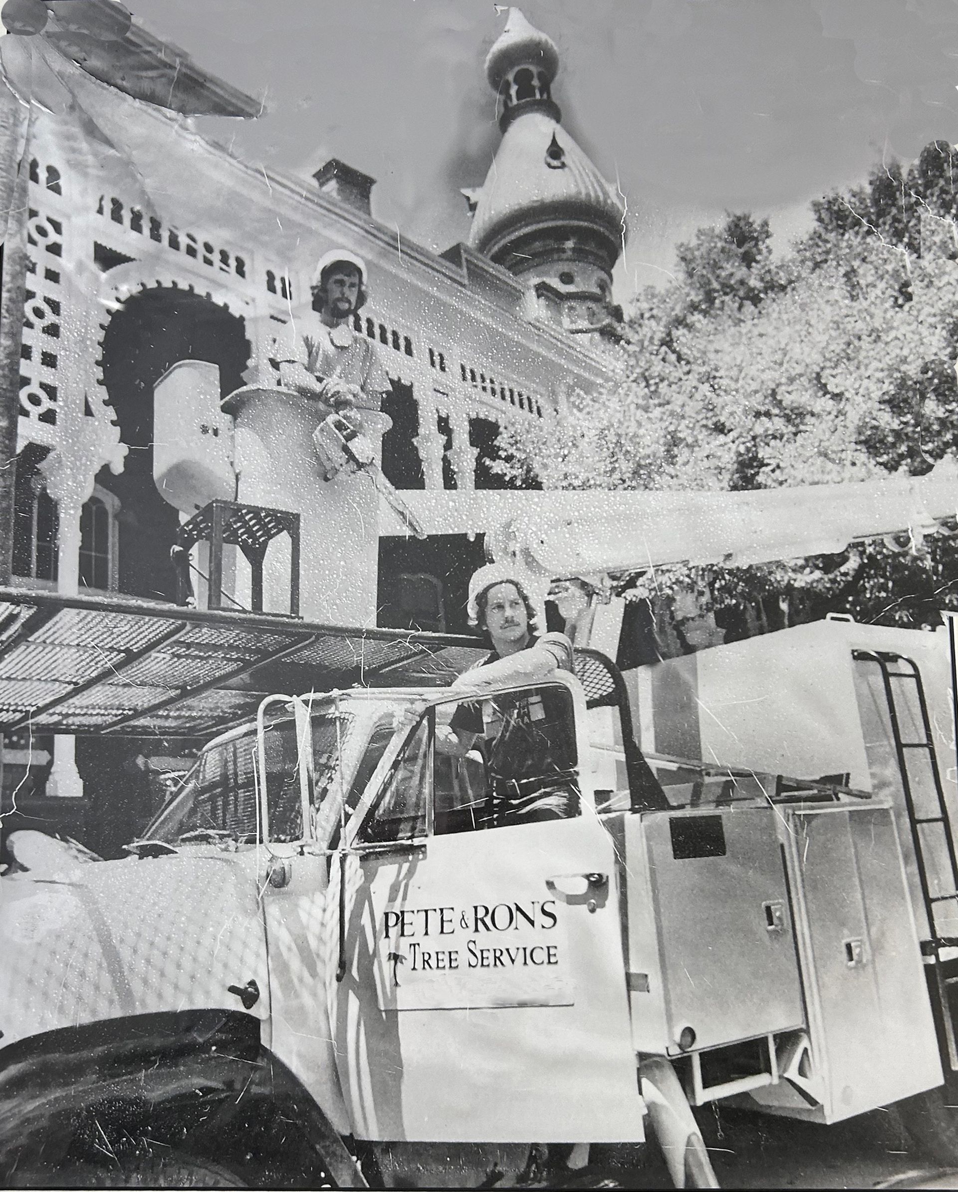 Pete & Ron's Tree Service | Tampa FL