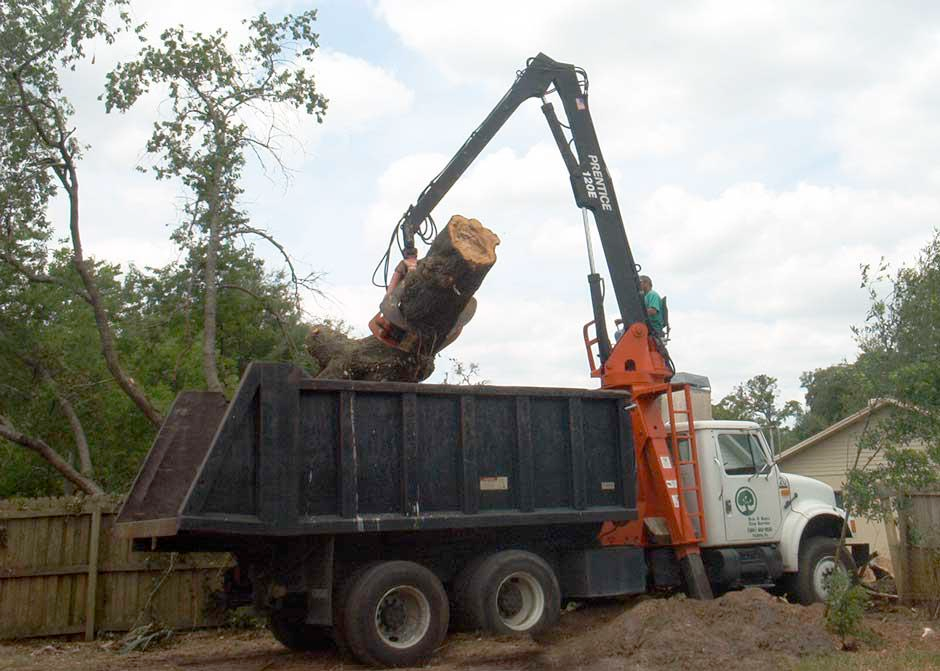 Tree Services | Tampa, FL | Pete & Ron's Tree Service