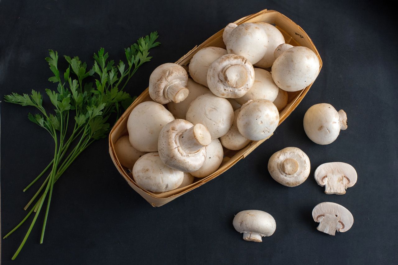 Champignon: como escolher, preparar e aproveitar este cogumelo