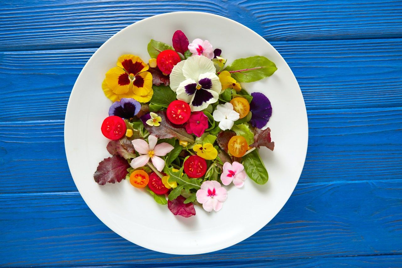 Flores comestíveis: beleza e sabor na gastronomia