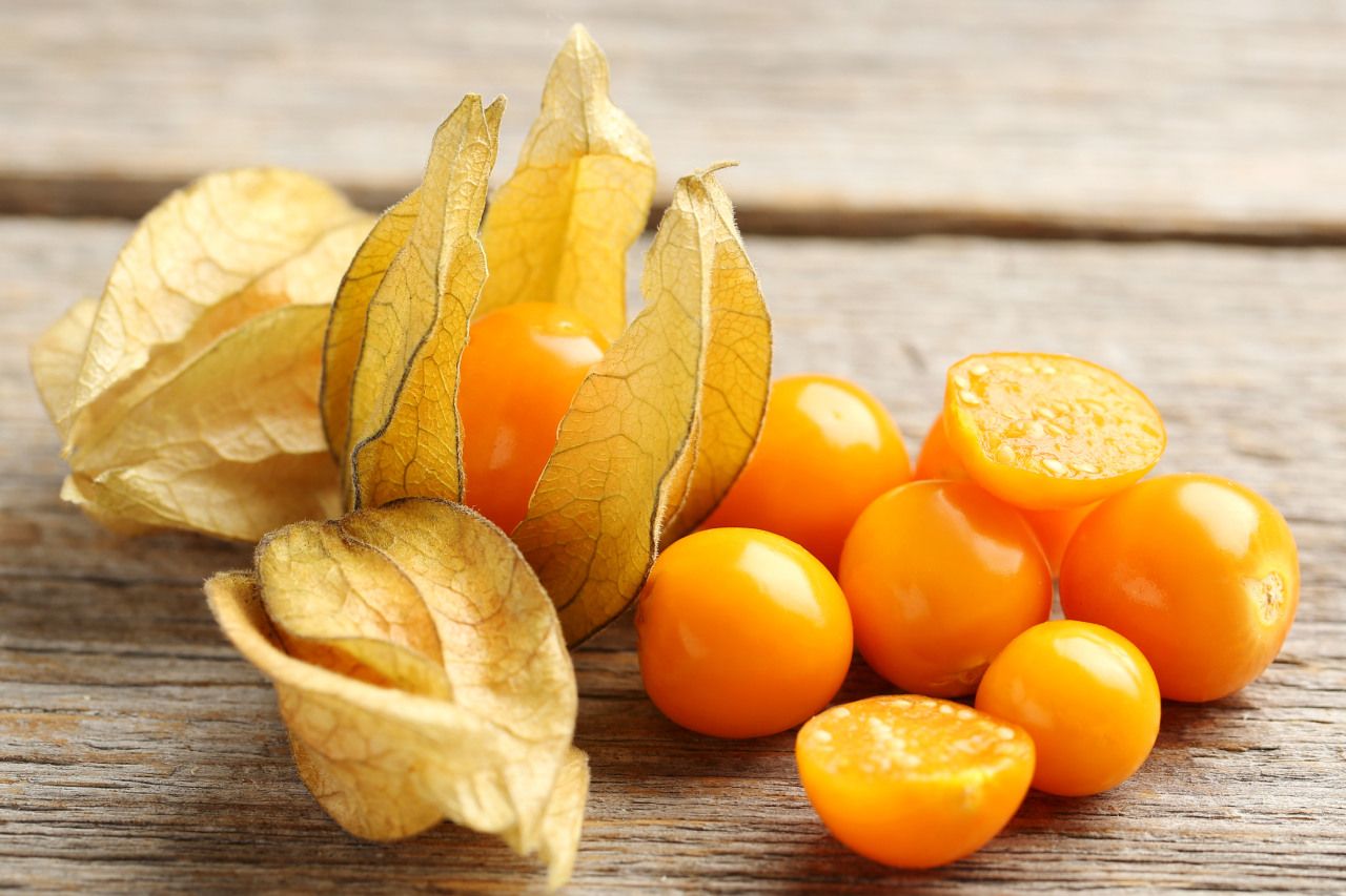 Physalis: a fruta exótica que encanta no setor alimentício
