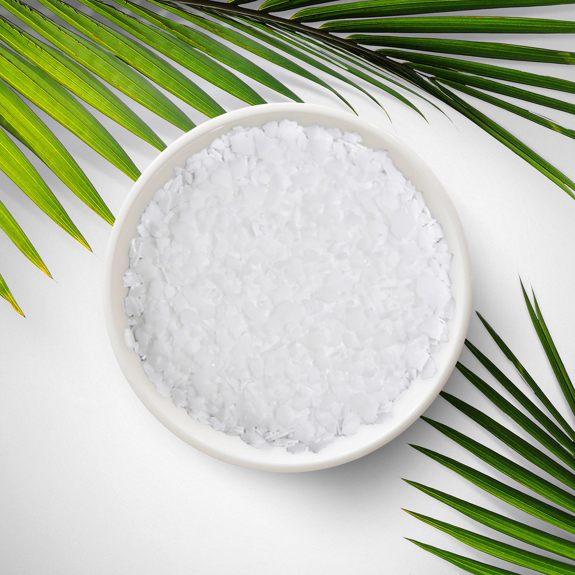 Stearic Acids Supplier Wholesaler UK