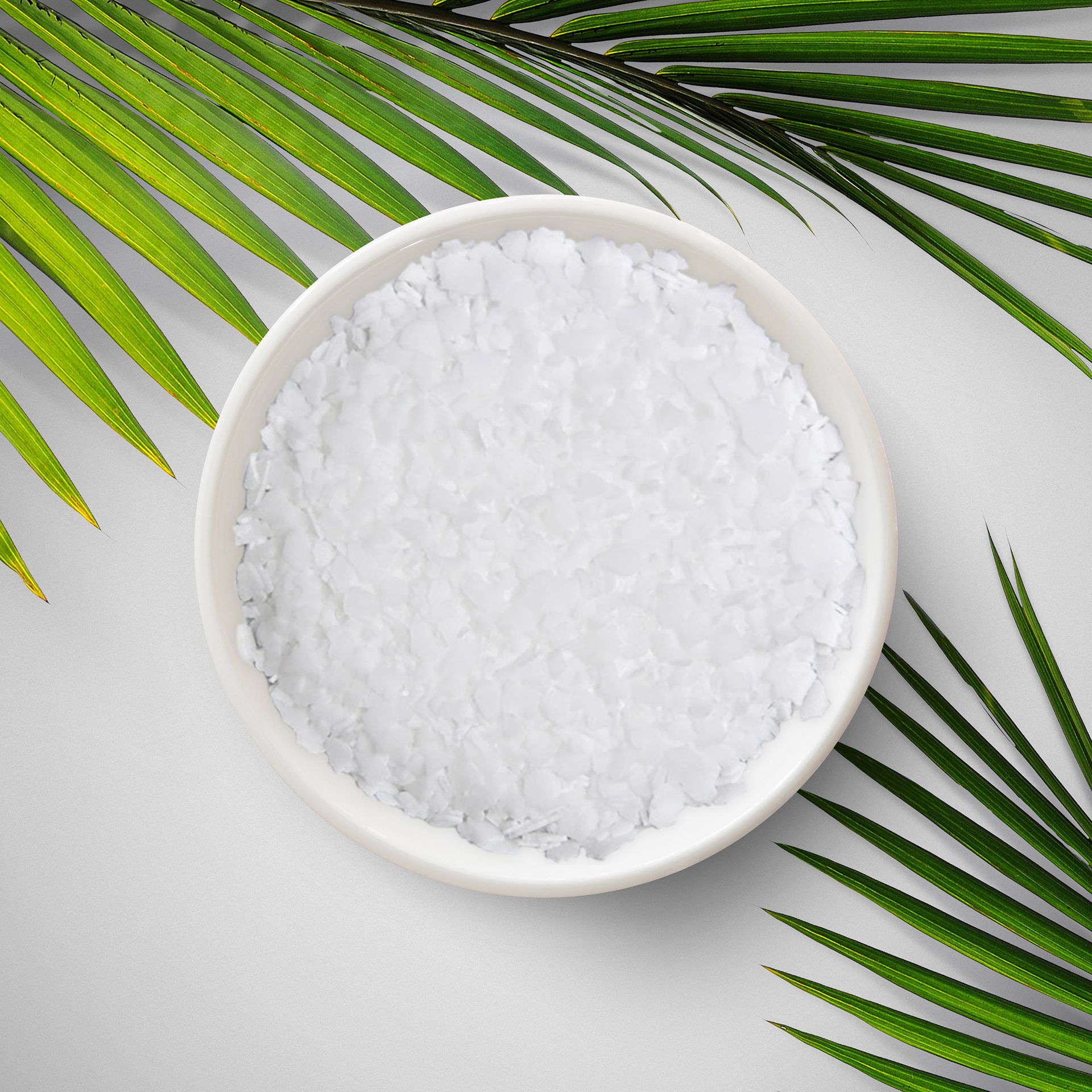Stearic Acids Supplier Wholesaler UK