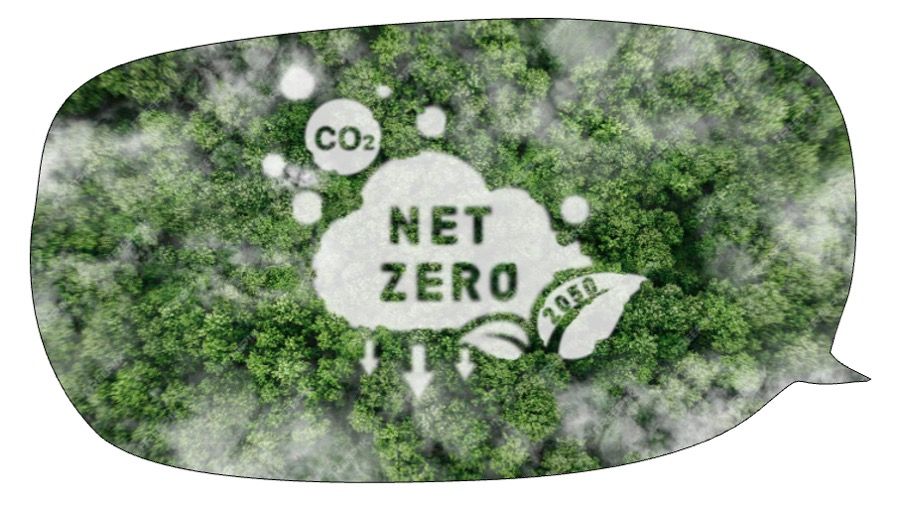 Carbon Neutral vs. Net Zero: What’s the Difference?