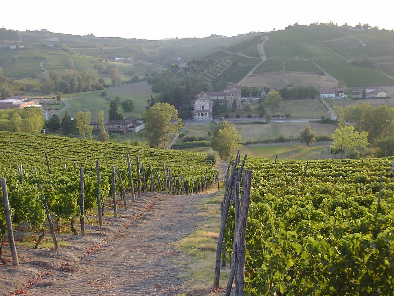 Home [www.saracco.it]