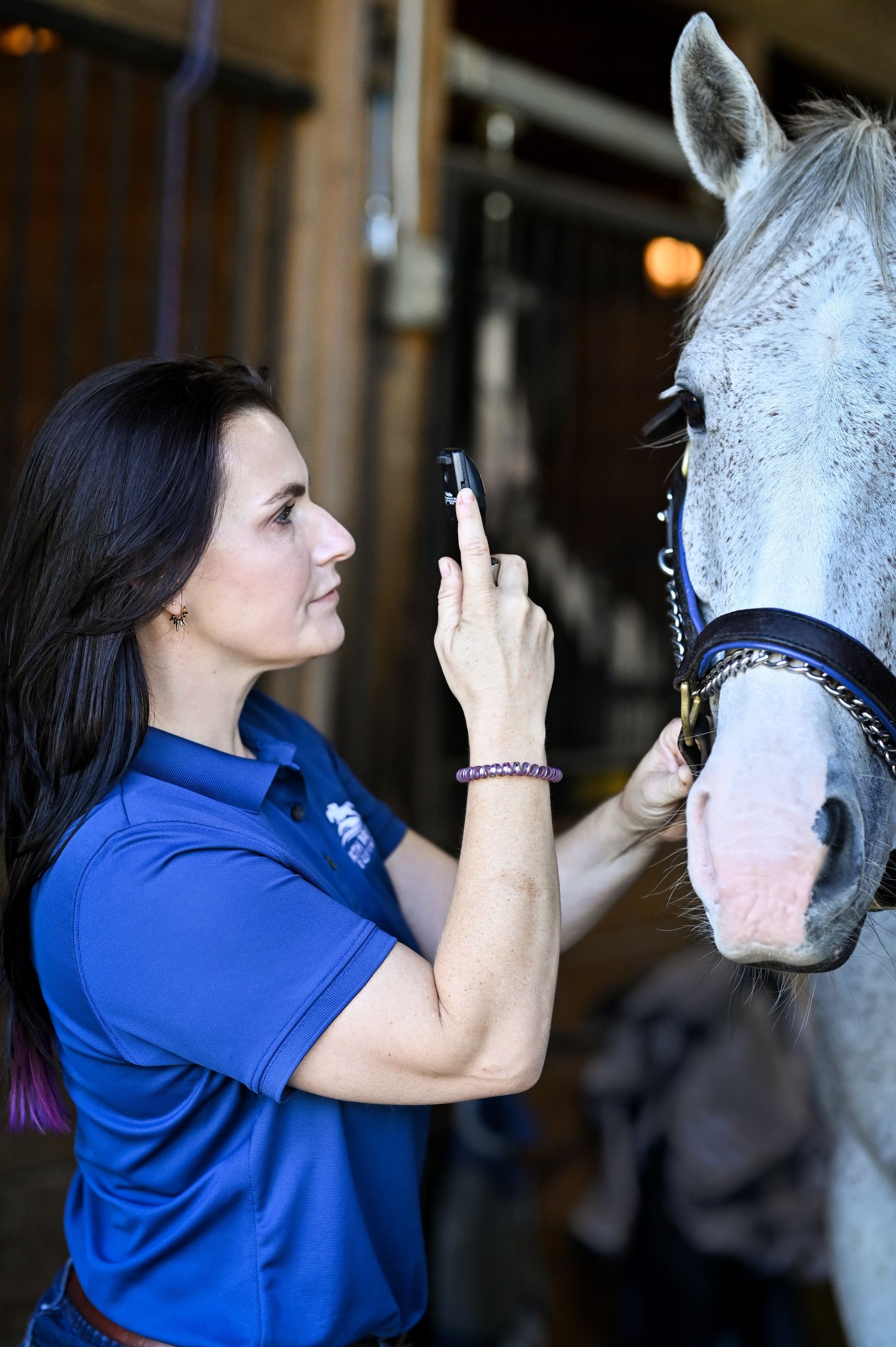 Equine Eye 101
