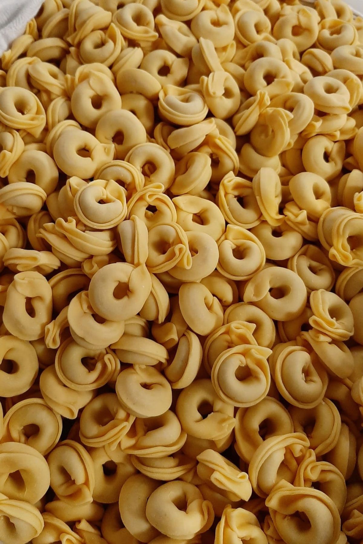 Produzione artigianale pasta a Roma | Pasta fresca Cellini