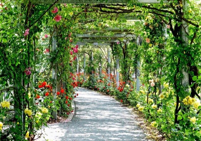 The Difference Between Formal and Informal Landscape Design