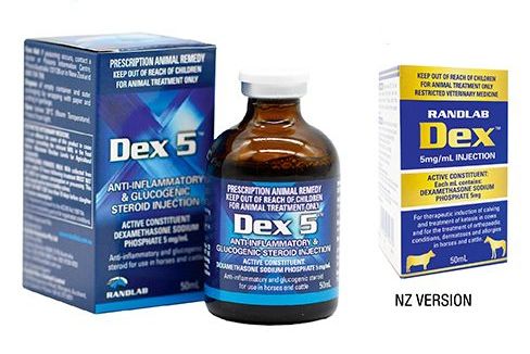 Randlab Meloxicam Injection