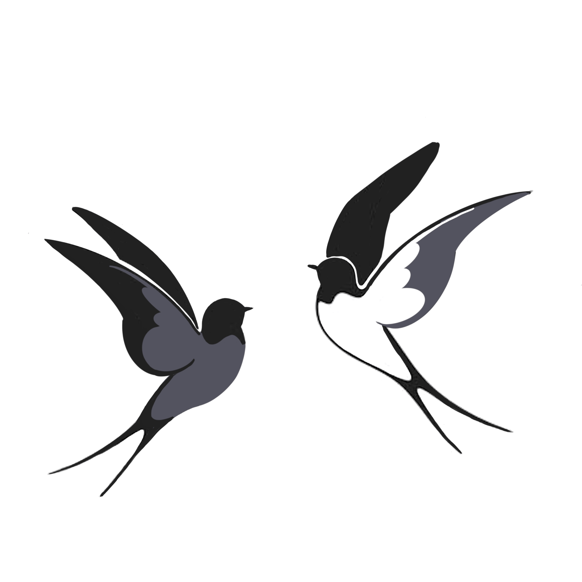 PC De Zwaluw | Pijn Trauma Narcisme Therapie & Counseling