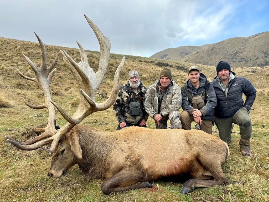 New Zealand Hunting |Red Stag Free Range Hunting | Heath Smith