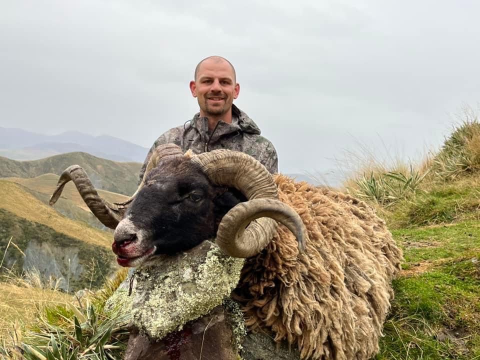 Ram Goat Hunting | New Zealand | South Island | New Zealand Hunting ...