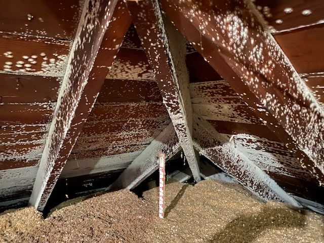 Mold Removal Services | XMAN | Lancaster, PA