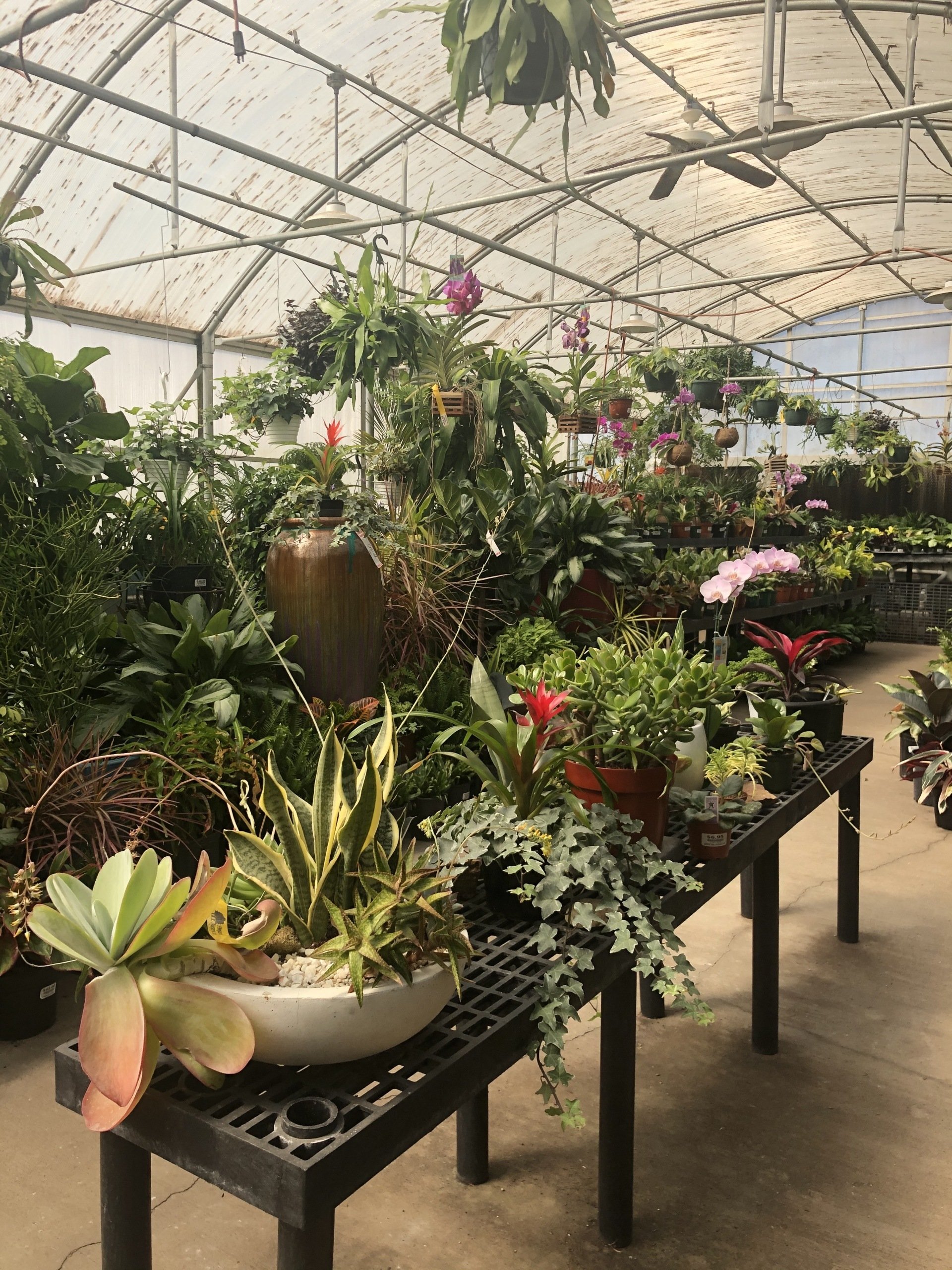 Landscape Design - Springfield, IL - Pleasant Nursery Inc