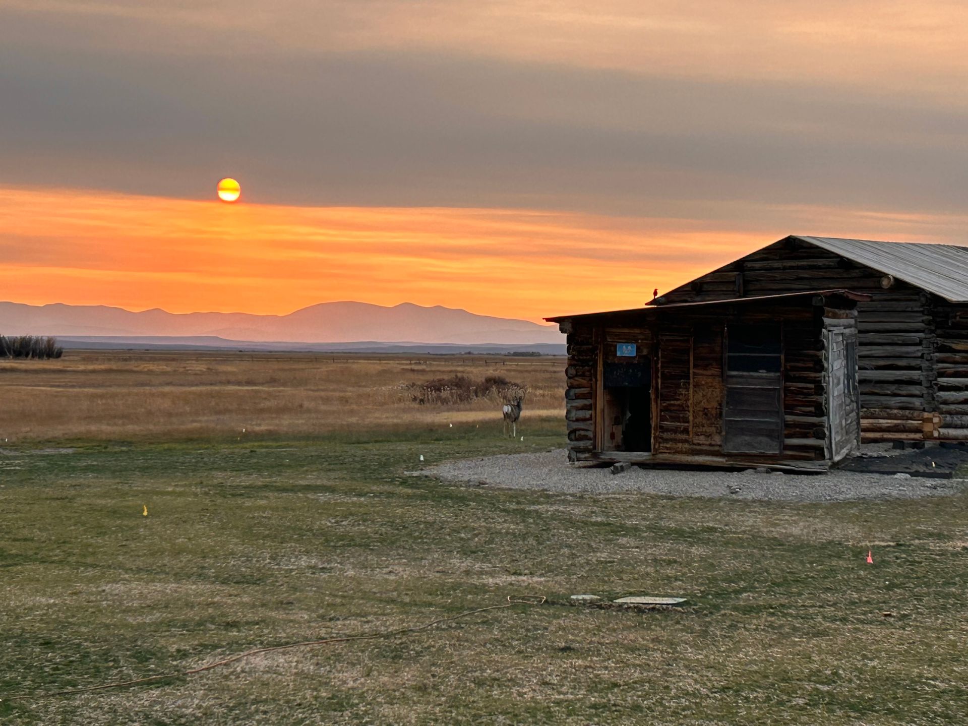 Fly Fishing & Cattle Ranch | Jemas Ranch | Daniel, WY