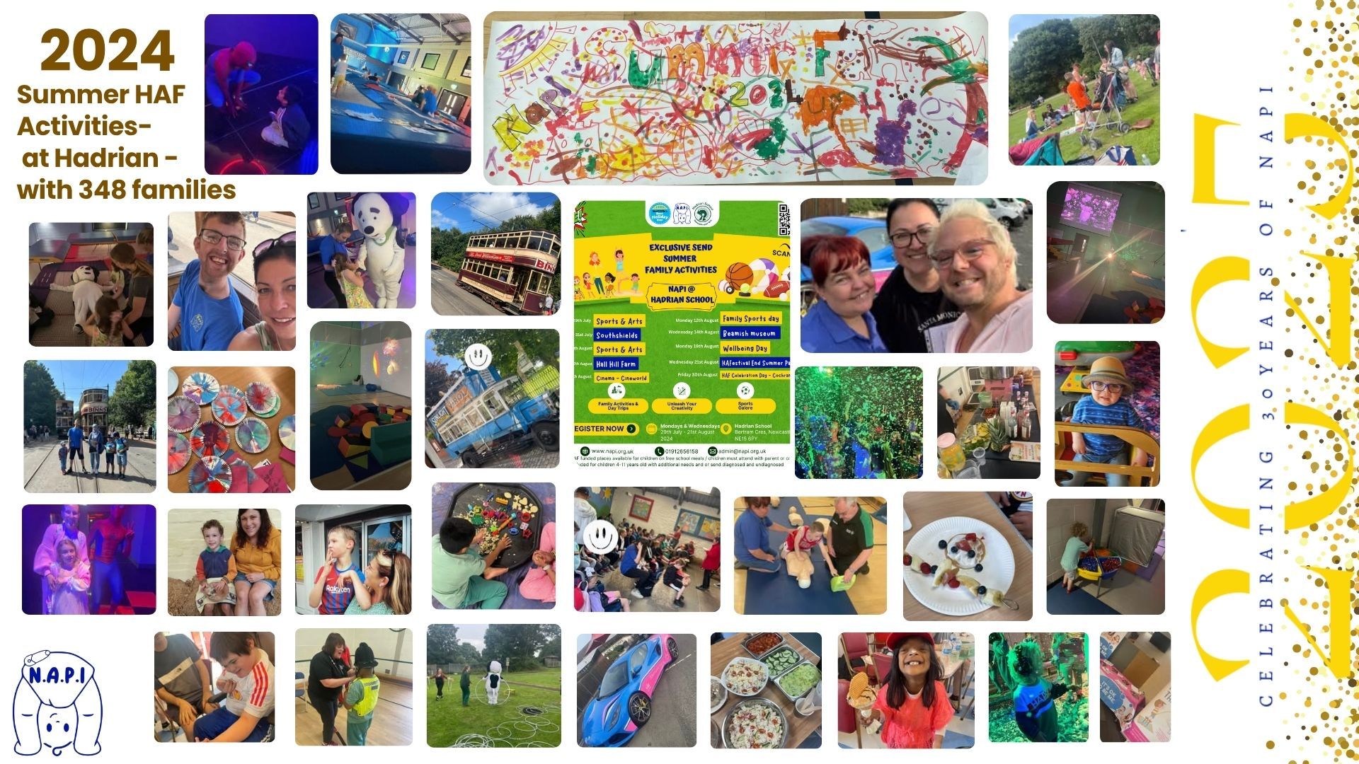 North East Action for Children Parents and Inclusion | NAPI