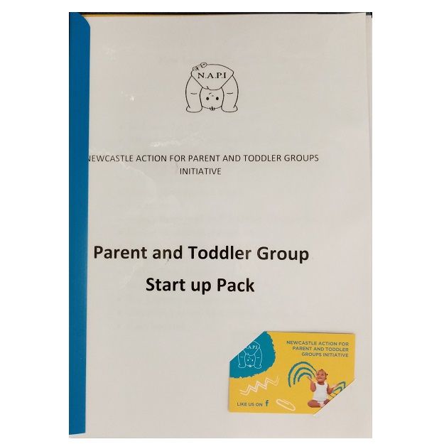 North East Action for Children Parents and Inclusion | NAPI