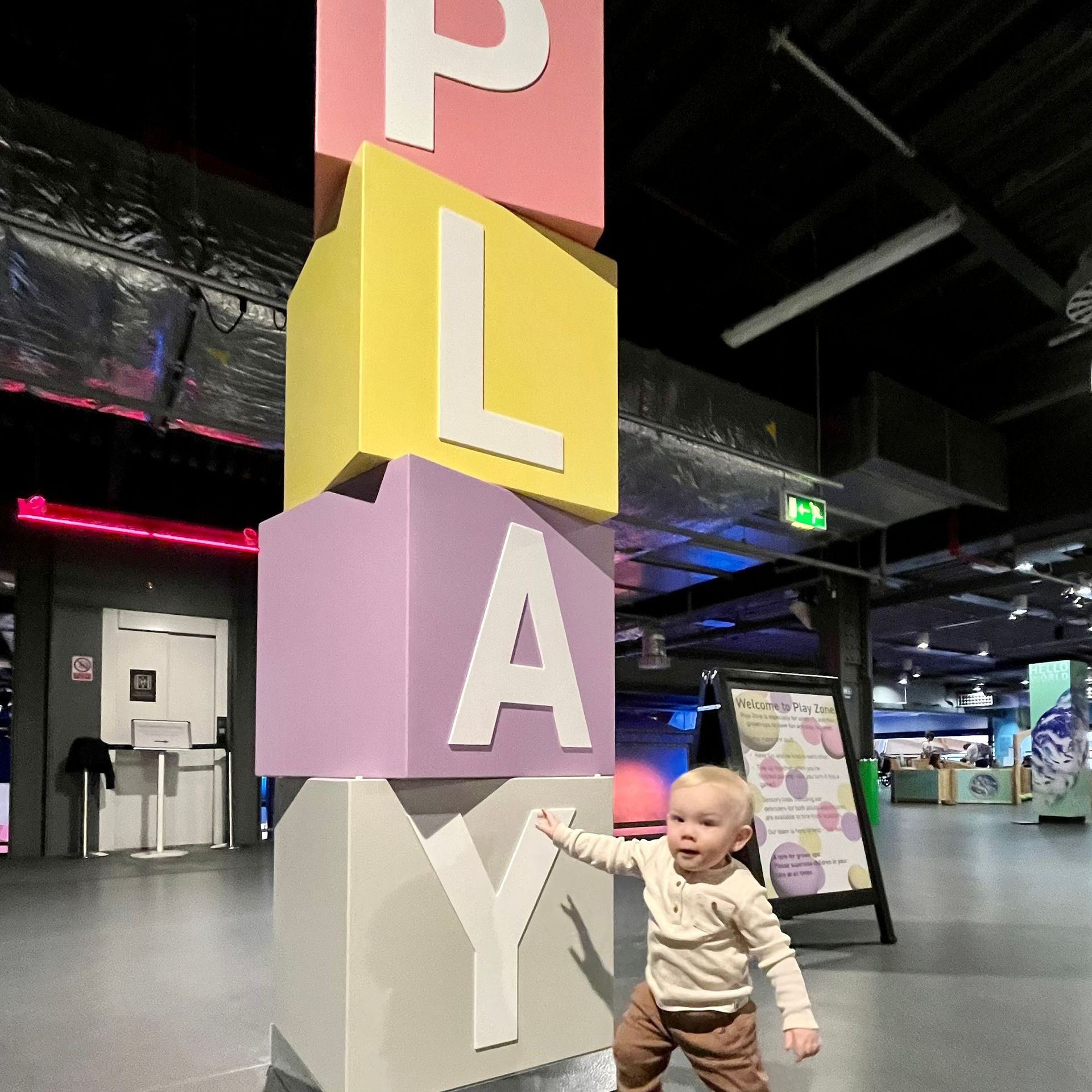 North East Action for Children Parents and Inclusion | NAPI