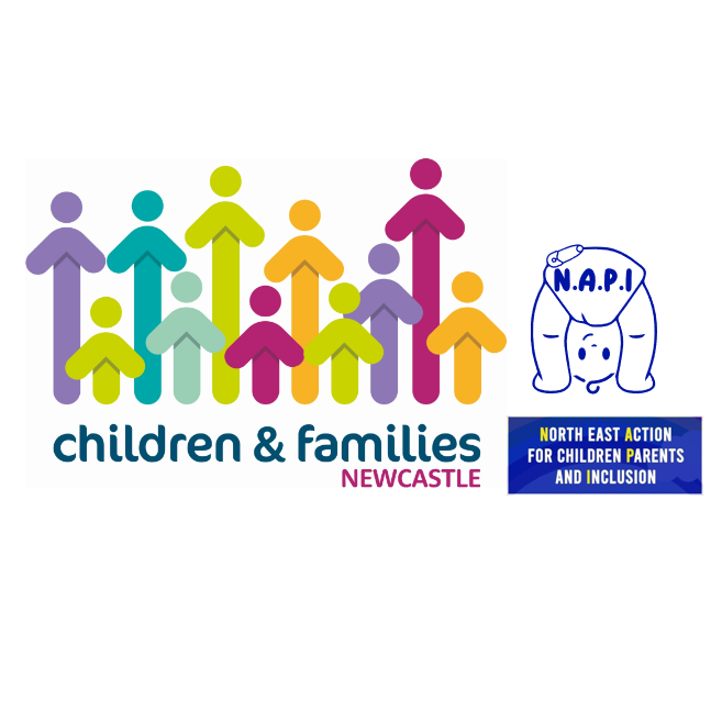 North East Action for Children Parents and Inclusion | NAPI