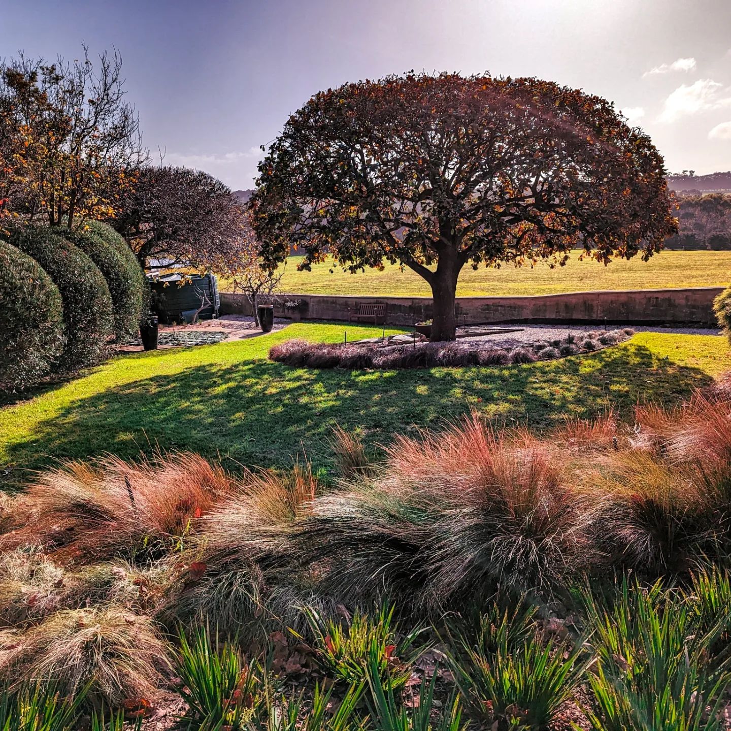 Arborist | Melbourne, VIC | Precise Tree Services