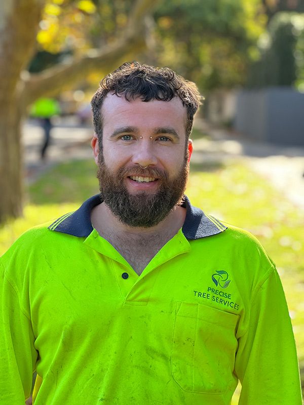 Arborist | Melbourne, VIC | Precise Tree Services
