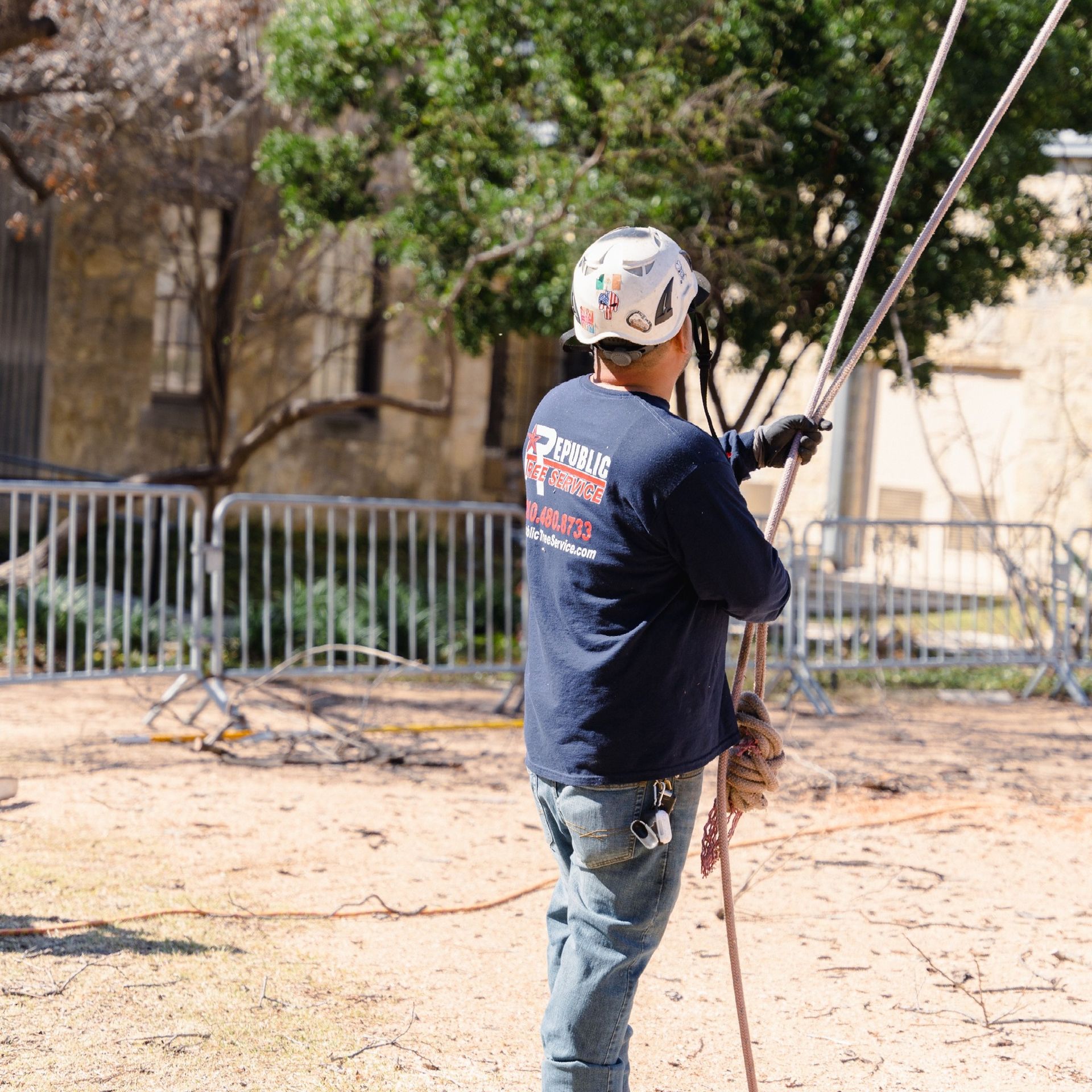 Republic Tree Service | San Antonio's #1 Tree Service Company