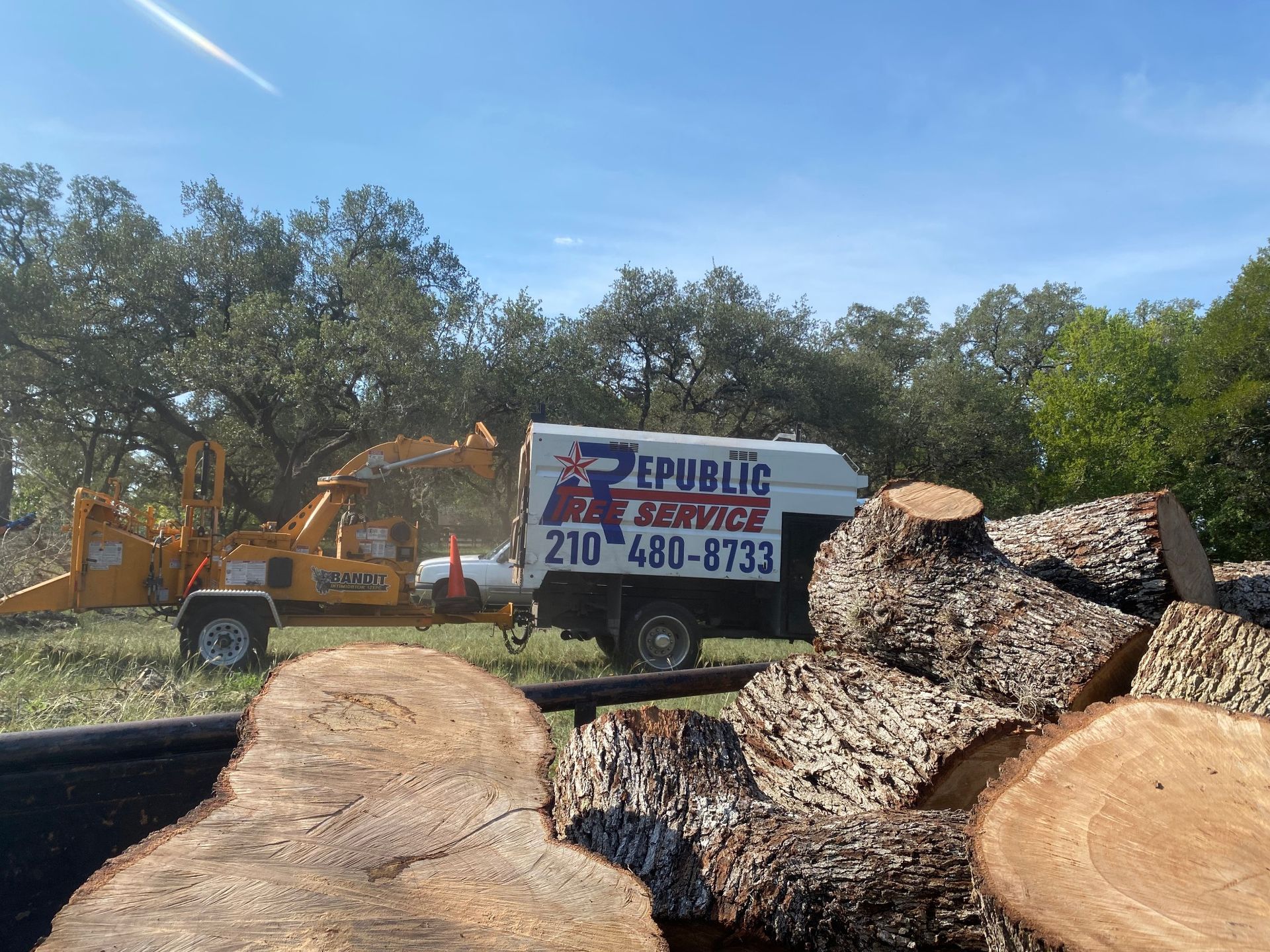 Projects | Republic Tree Service - San Antonio, TX