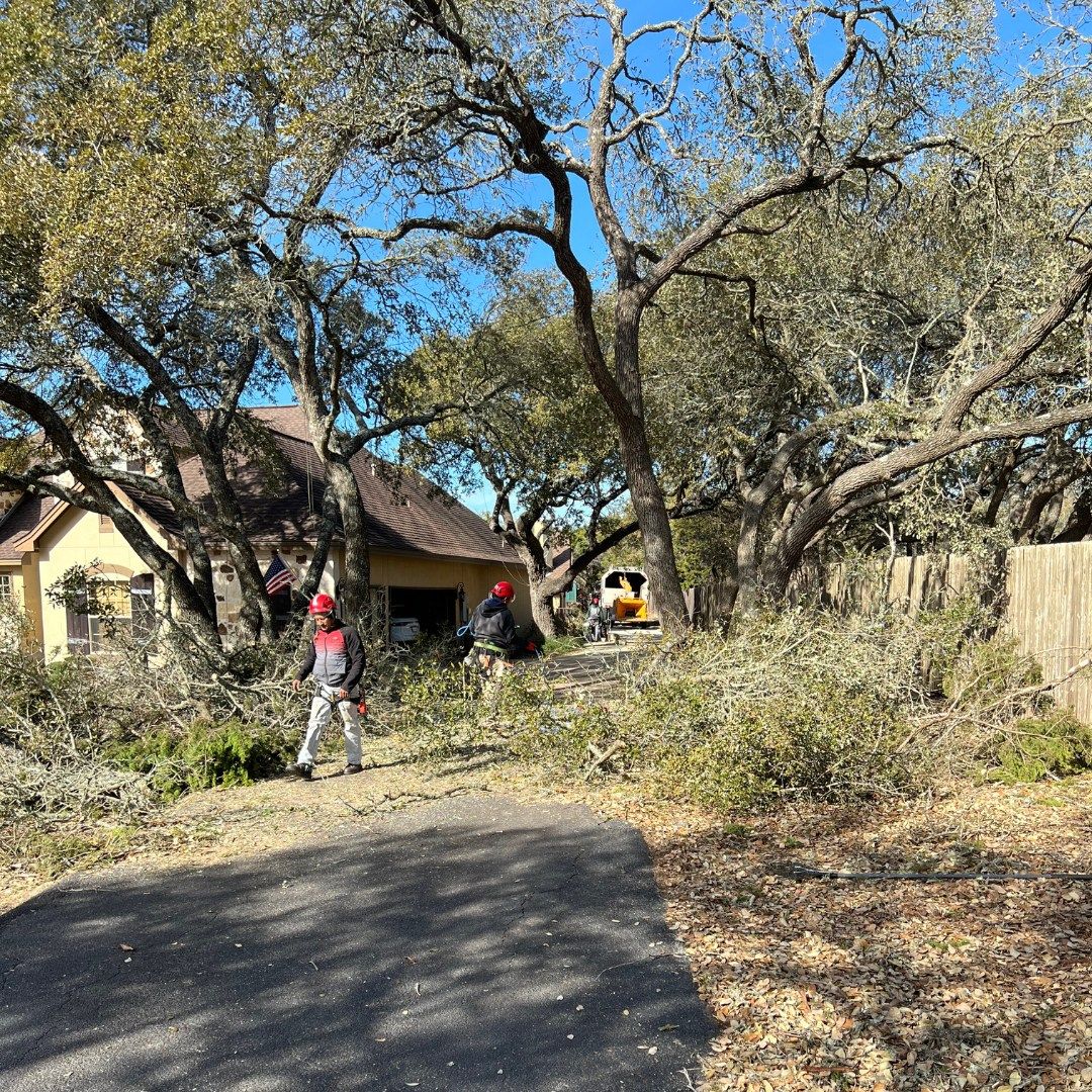 Projects | Republic Tree Service - San Antonio, TX