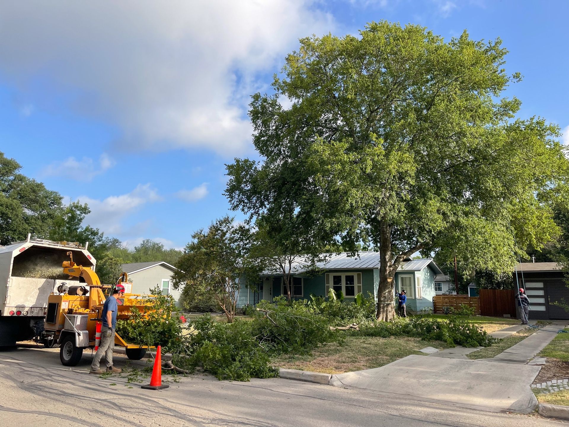 Republic Tree Service | San Antonio's #1 Tree Service Company