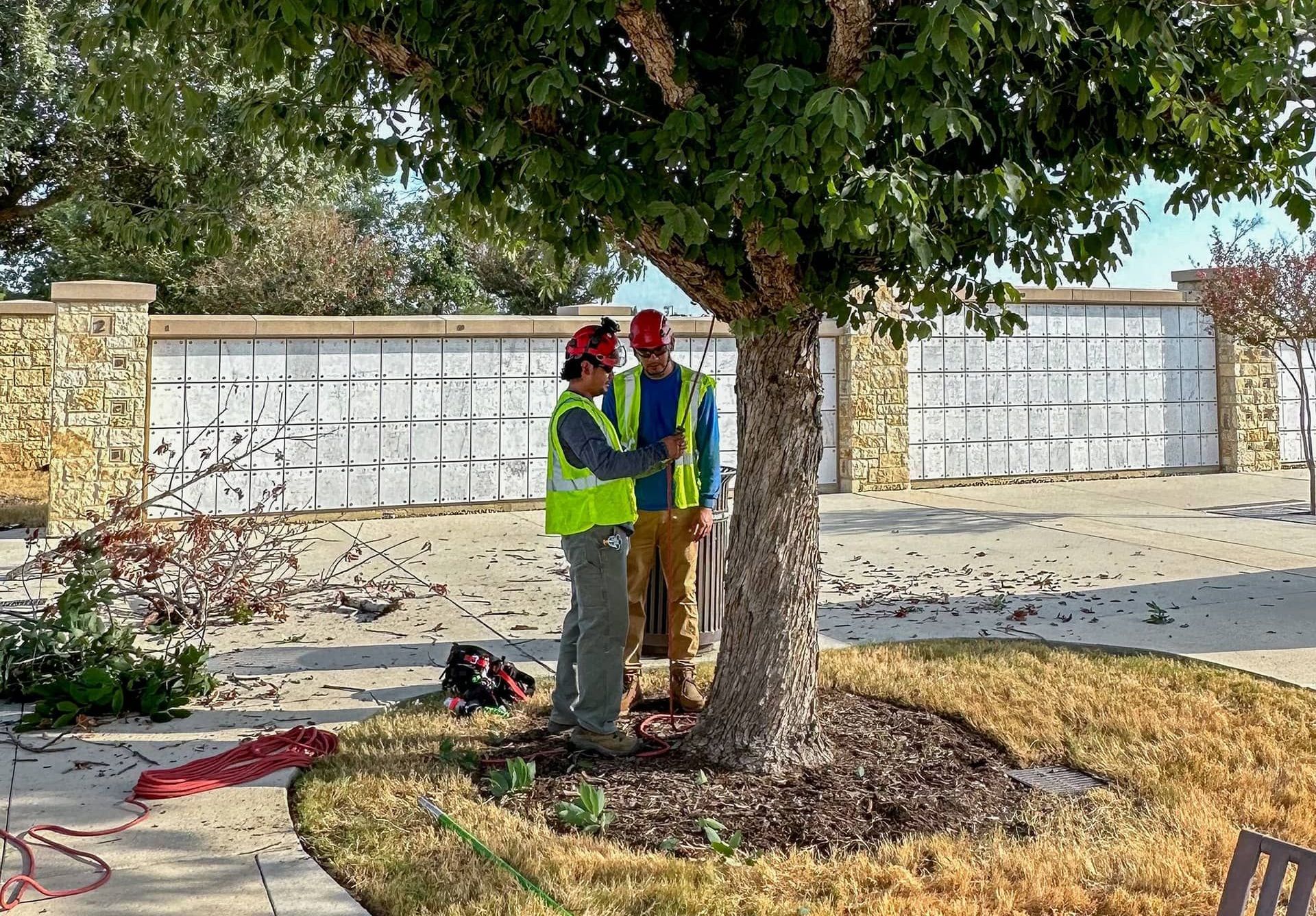Projects | Republic Tree Service - San Antonio, TX