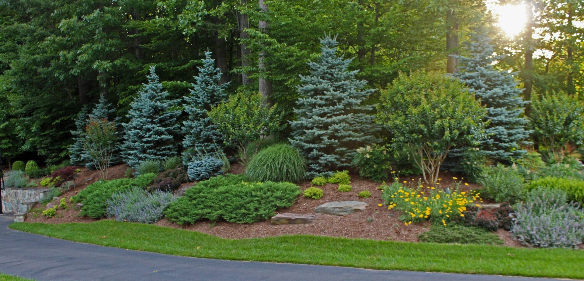 Knotty Pine Tree Service - About Us