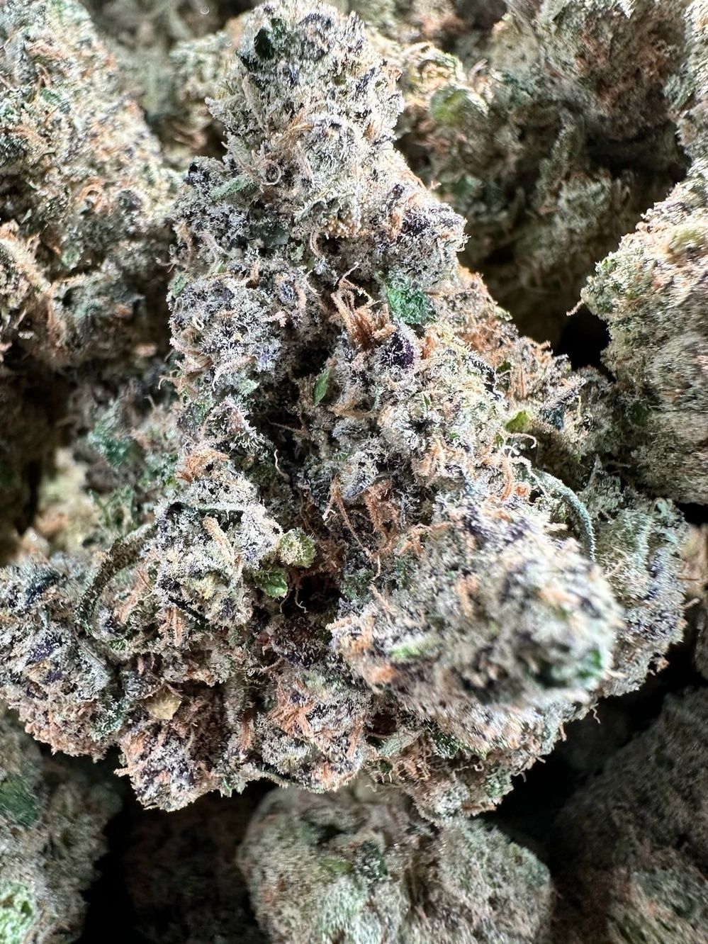 Cannabis Delivery Service | Real Fire Society | Oakland