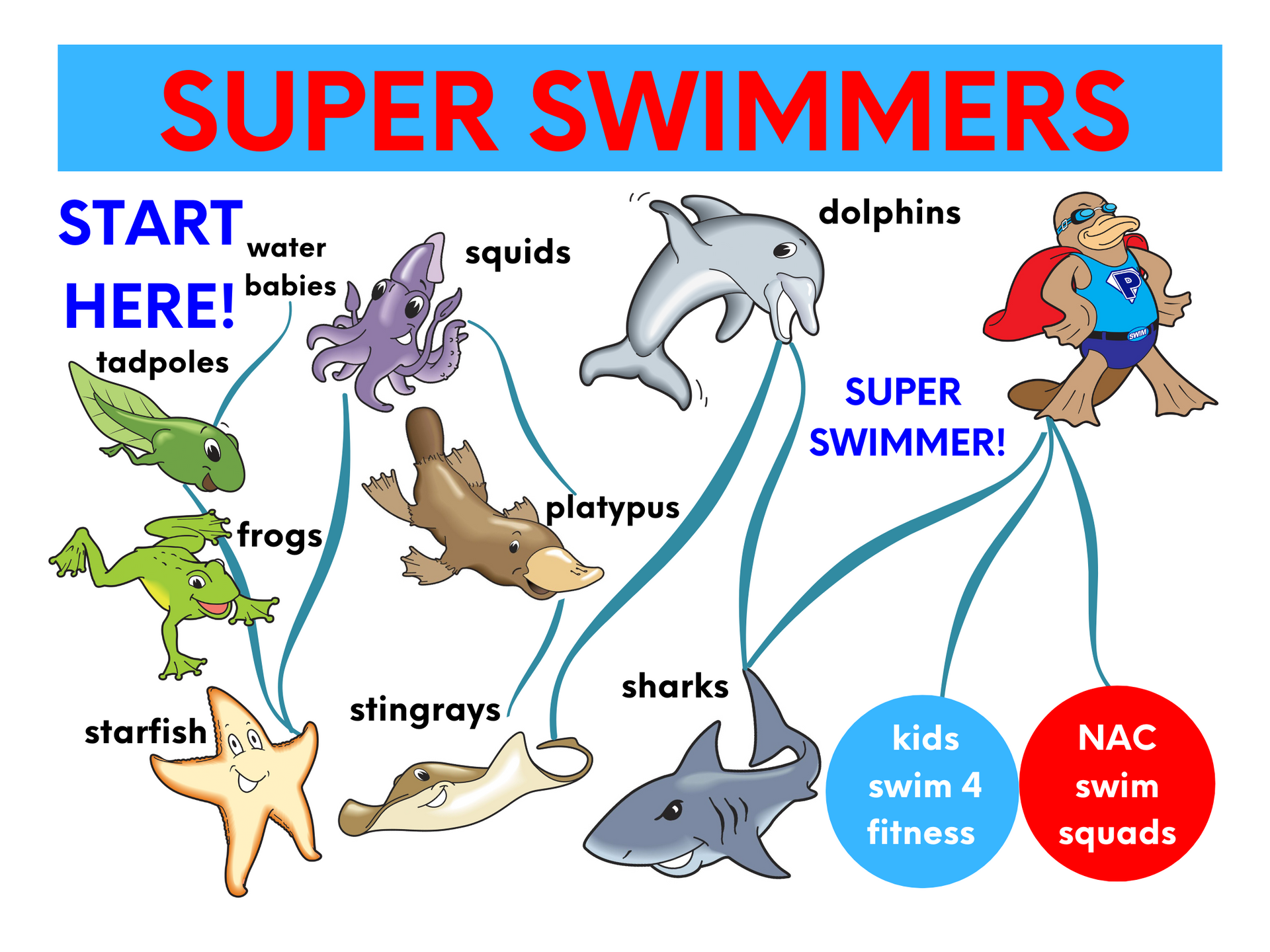 Nepean Aquatic Centre