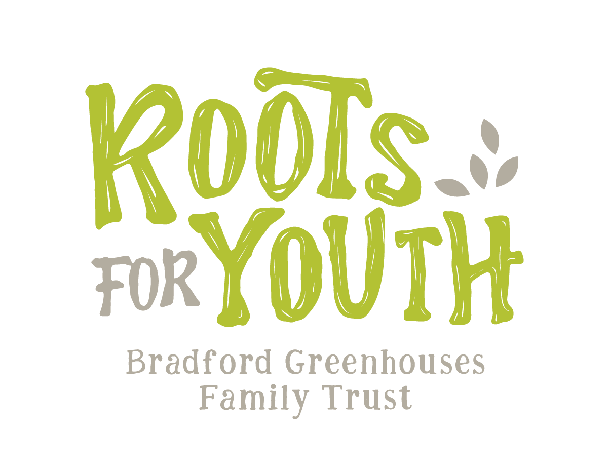 Youth Bursaries | Roots for Youth