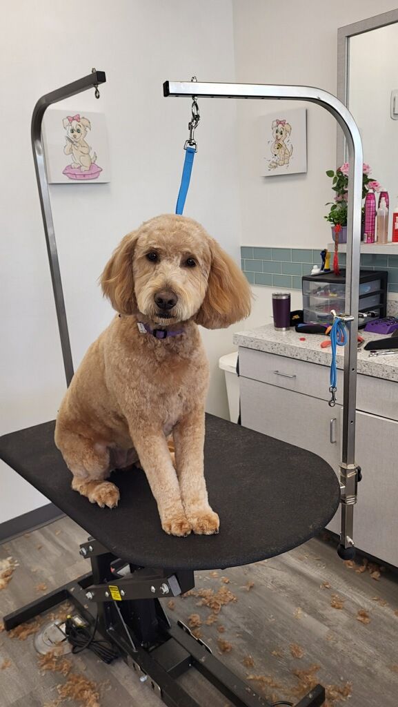 PFG Team at Brier Creek