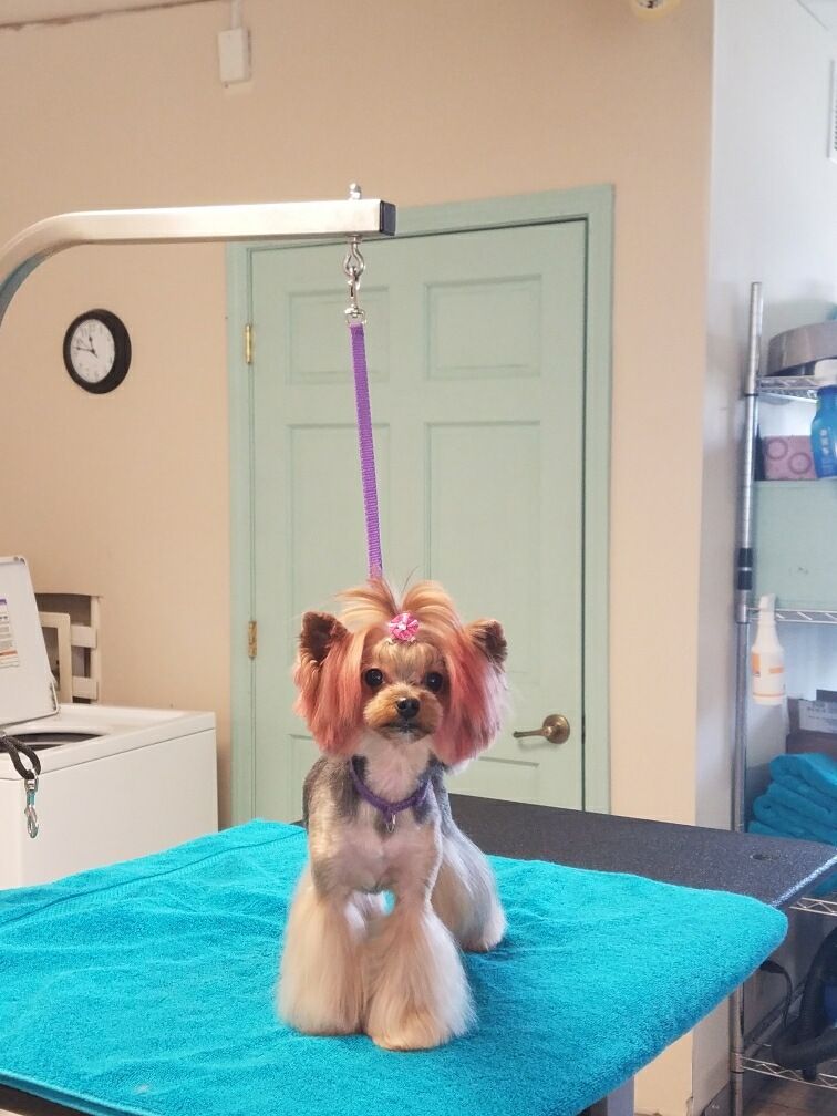 PFG Team at Brier Creek