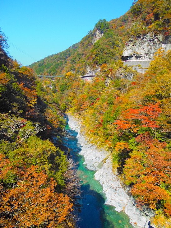 Autumn explodes with color in the Iya Valley!