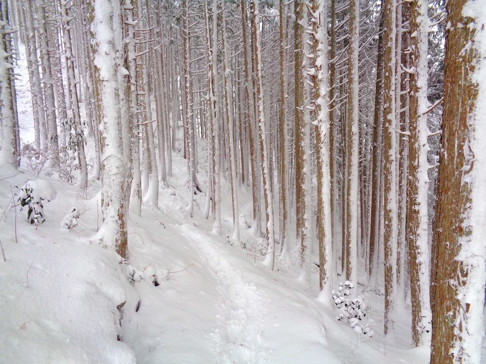 Iya's First Snow of Winter 2022-23