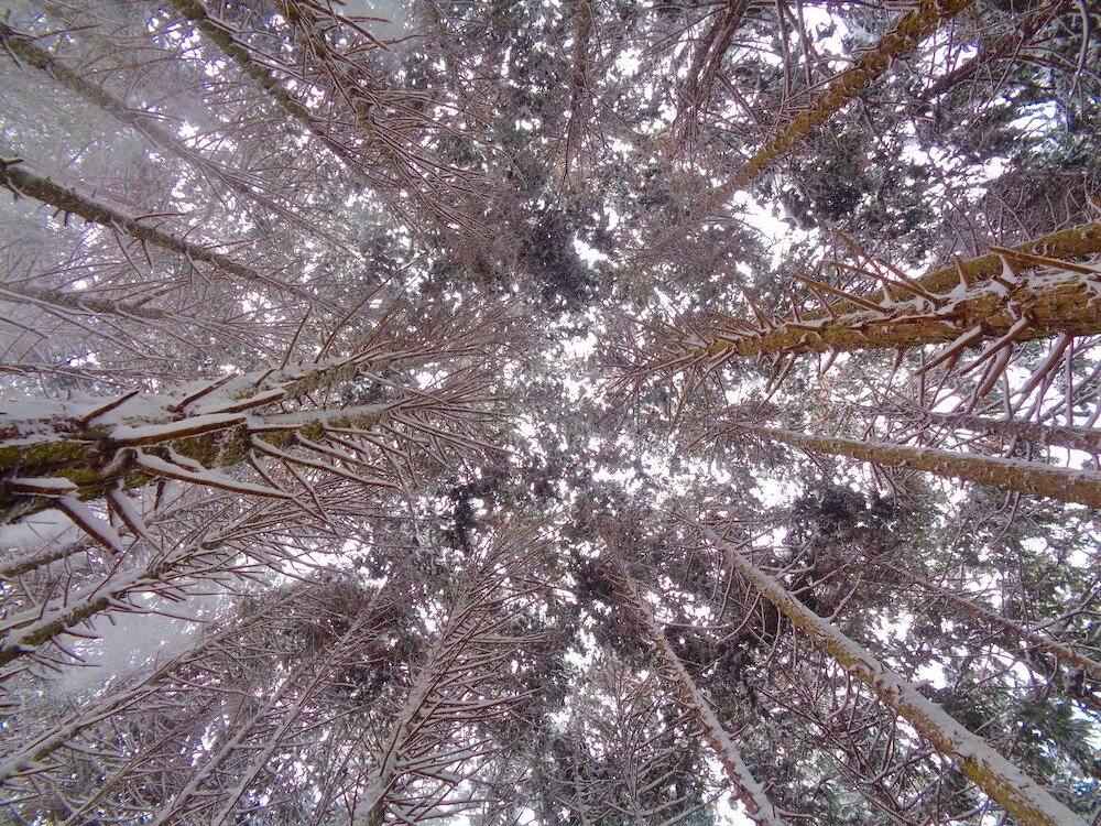 Iya's First Snow of Winter 2022-23