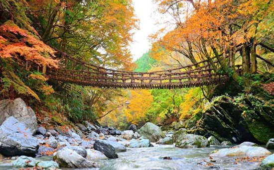 IyaTime: Iya Valley & Oboke Gorge Travel Guide