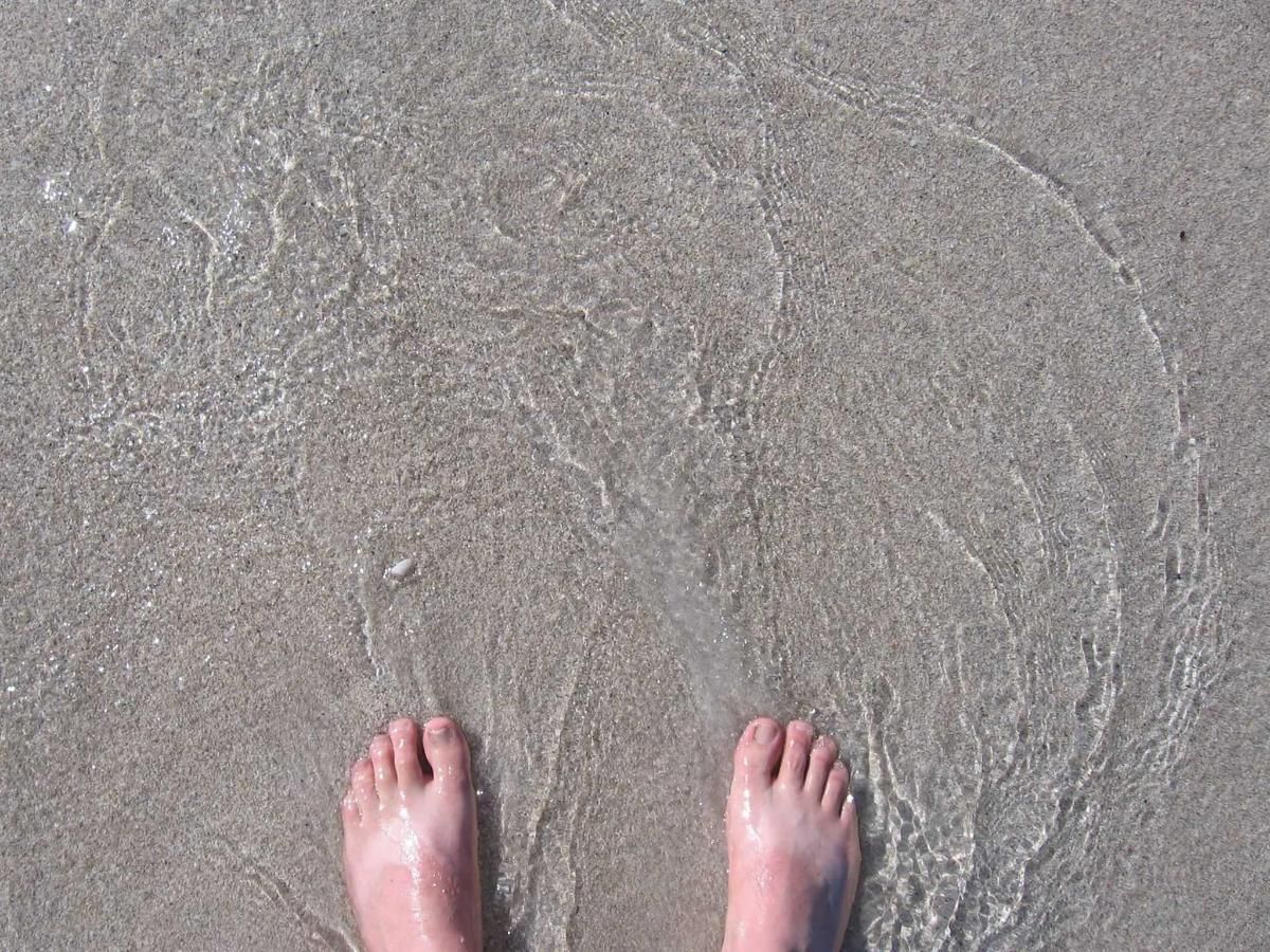 Gallery | A Beach Retreat On Casey Key