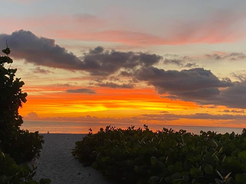 Resort | A Beach Retreat On Casey Key