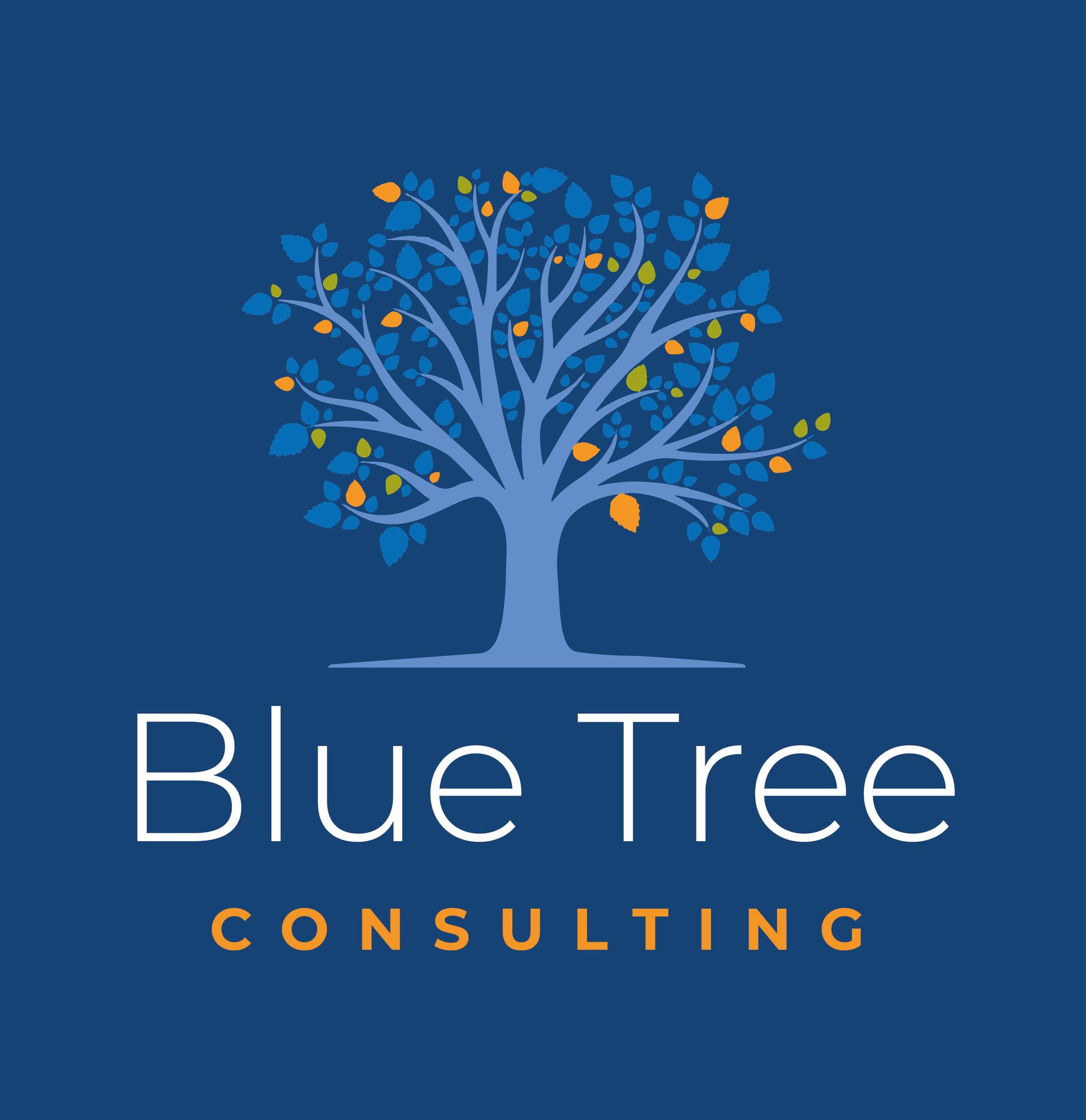 Strategic HR and Leadership Solutions | Blue Tree Consulting